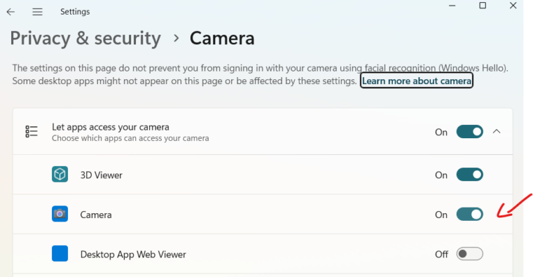 Why is My Camera Not Working in Teams and How to Fix It - Labyrinth ...