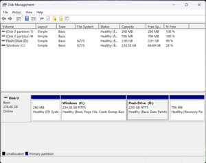 How to Partition a Hard Drive in Windows 11 - Labyrinth Technology - IT ...